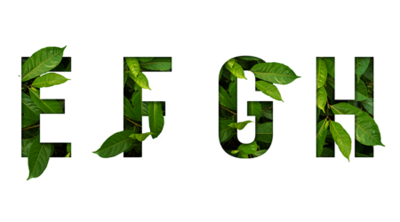 Le lettrage : un guide simple | Pixartprinting